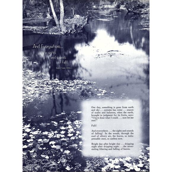 None and/or Unknown | Other | And Everywhere The Sights Sounds Of Fall ...